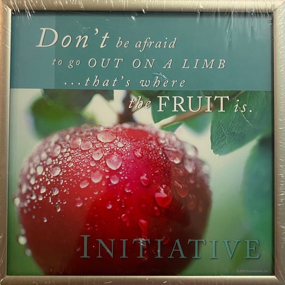 Successories | Office | Vintage Successories Initiative Framed Plaque ...